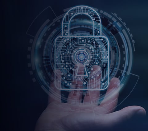 Our Work - Digital Technology Solutions